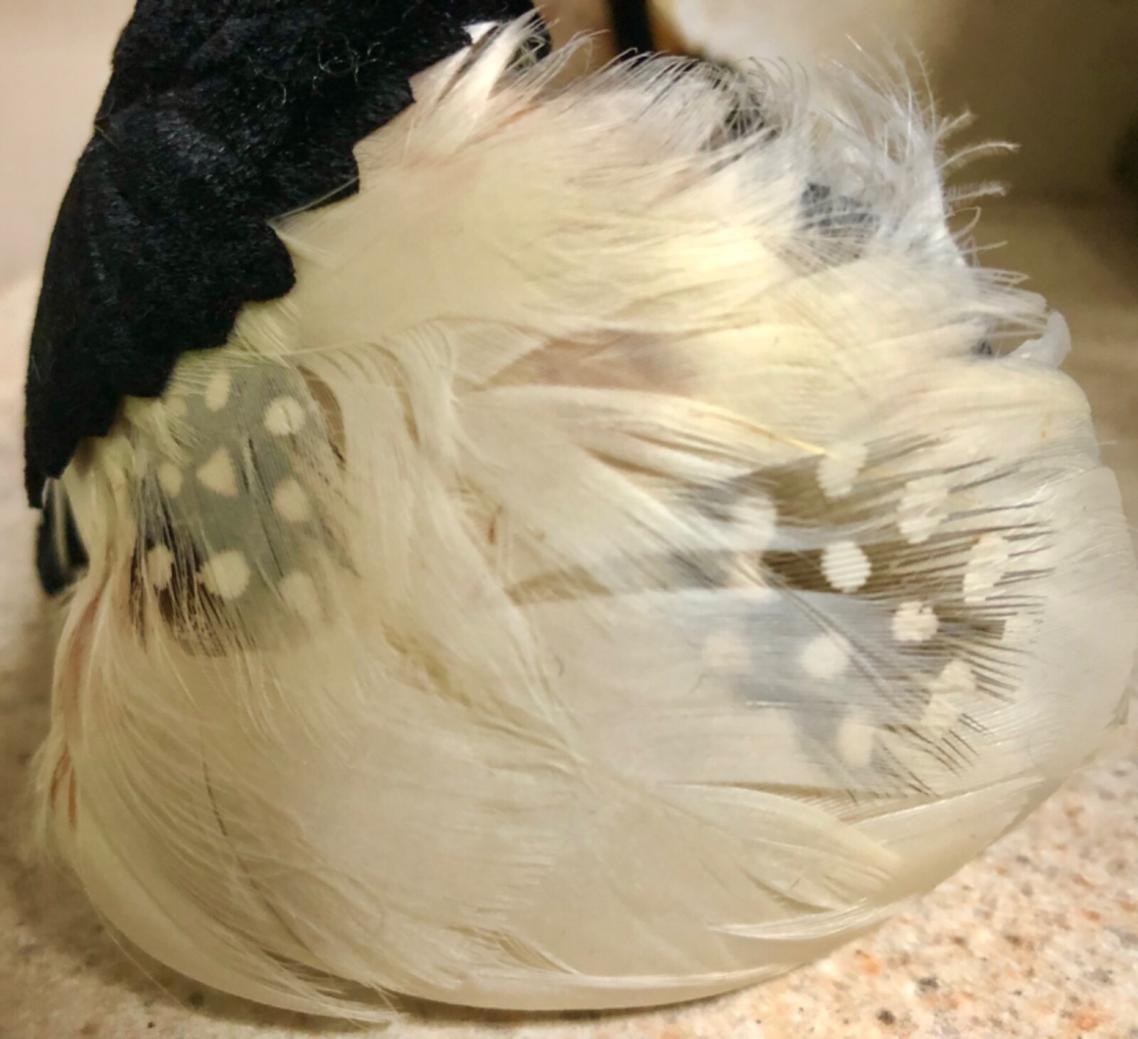 Vintage Feathered Black Tiara Hat. - Gem