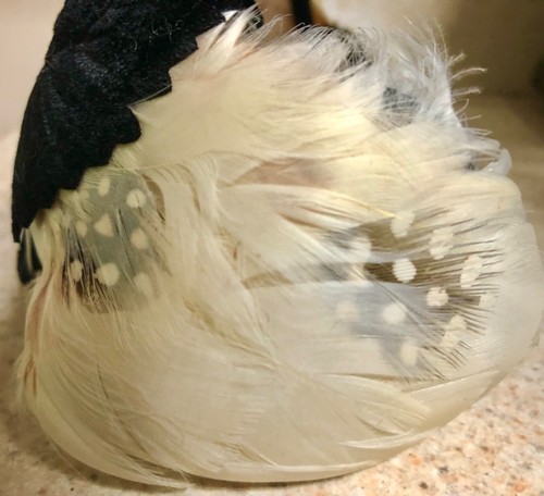 Vintage Feathered Black Tiara Hat. - Gem