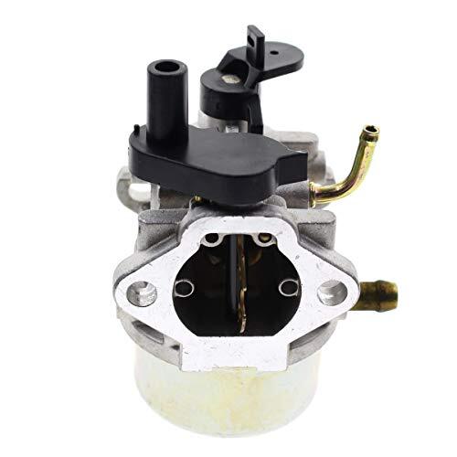801396 Carburetor for Briggs & Stratton 801233 801255 Snowblower ...
