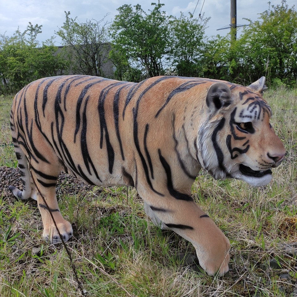 GIANT PROWLING TIGER - LIFE SIZE TIGER - VIVID ARTS | eBay