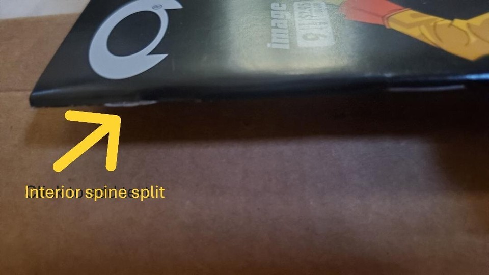 Invincible #9 2004 1st Monster Girl/Bulletproof, sharp copy presents ...