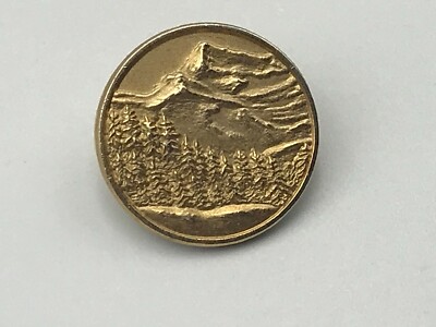 2006 Keystone Colorado Gold Tone Lapel Pin Ski Skiing C4 | eBay UK