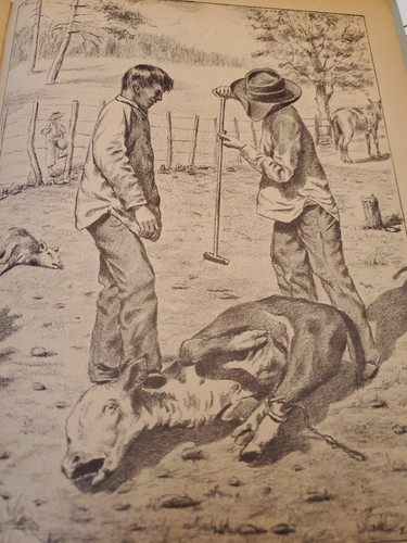 VTG American Indian Apache By Eugene Bischoff Read & Color Book | eBay