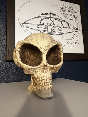 *RETIRED* 1998 ADAMS APPLE SUMMIT COLLECTION ALIEN SKULL ©98WUI | eBay