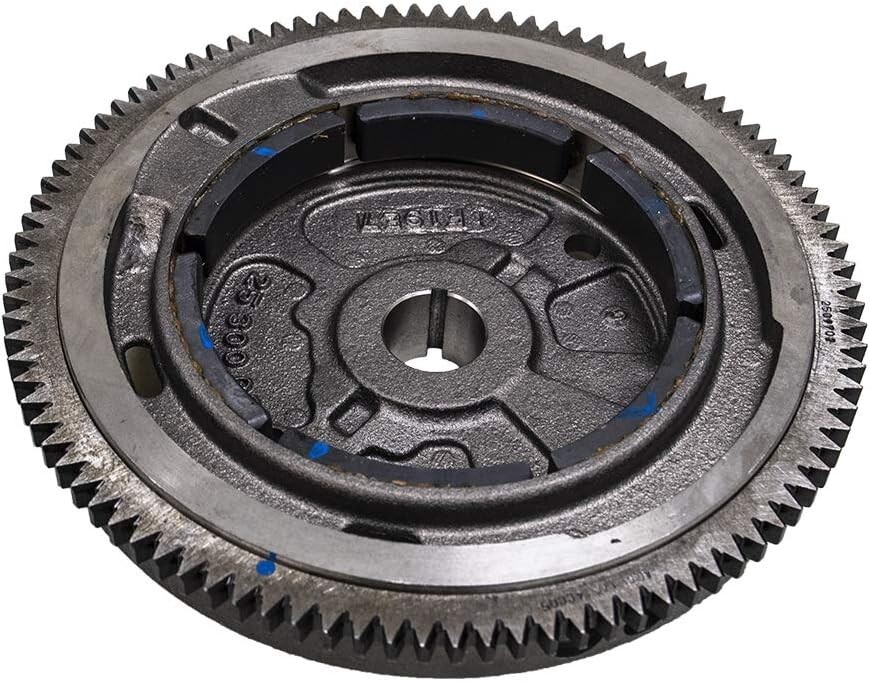 Kohler 32 025 21-S Flywheel Assembly Genuine | eBay
