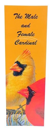 Male and Female Cardinal Bookmark Pack with Description of Romantic ...