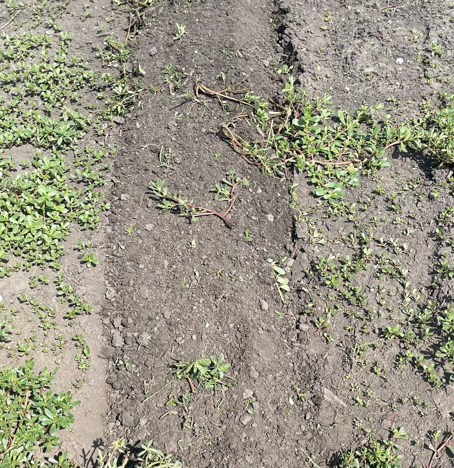 Garden Tiller Tamer roto tiller attachment, reduces run-a-way/bucking ...