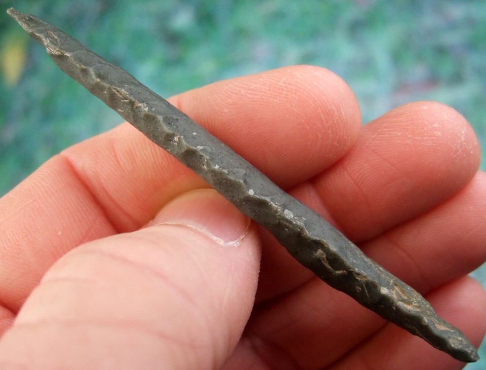 Super Fine Museum Quality Alabama Wheeler Paleo Drill with COA ...