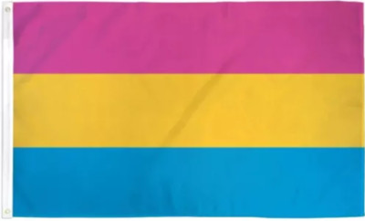 Pansexual 3x5ft Poly Flag LGBTQ+ Pansexual Pan Gender-Blind Pride Flag ...