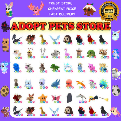 Adopt Your Pet From Me compatible 🦄 MFR Mega Neon Fly Ride pets Fast ...