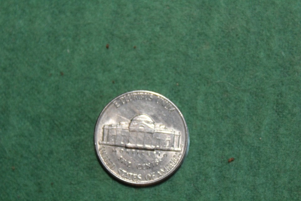 1939-s Jefferson Nickel Key Date! g/vg | eBay