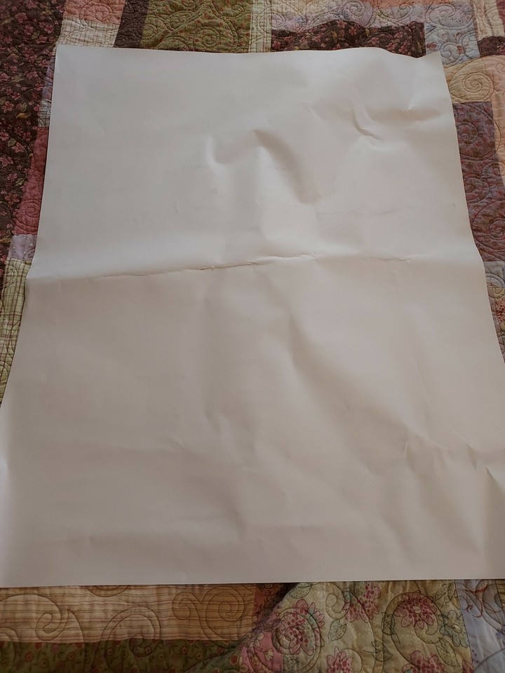 Gigantamax Charizard Pokemon Promotional Large Window Cling Decal 24” X ...