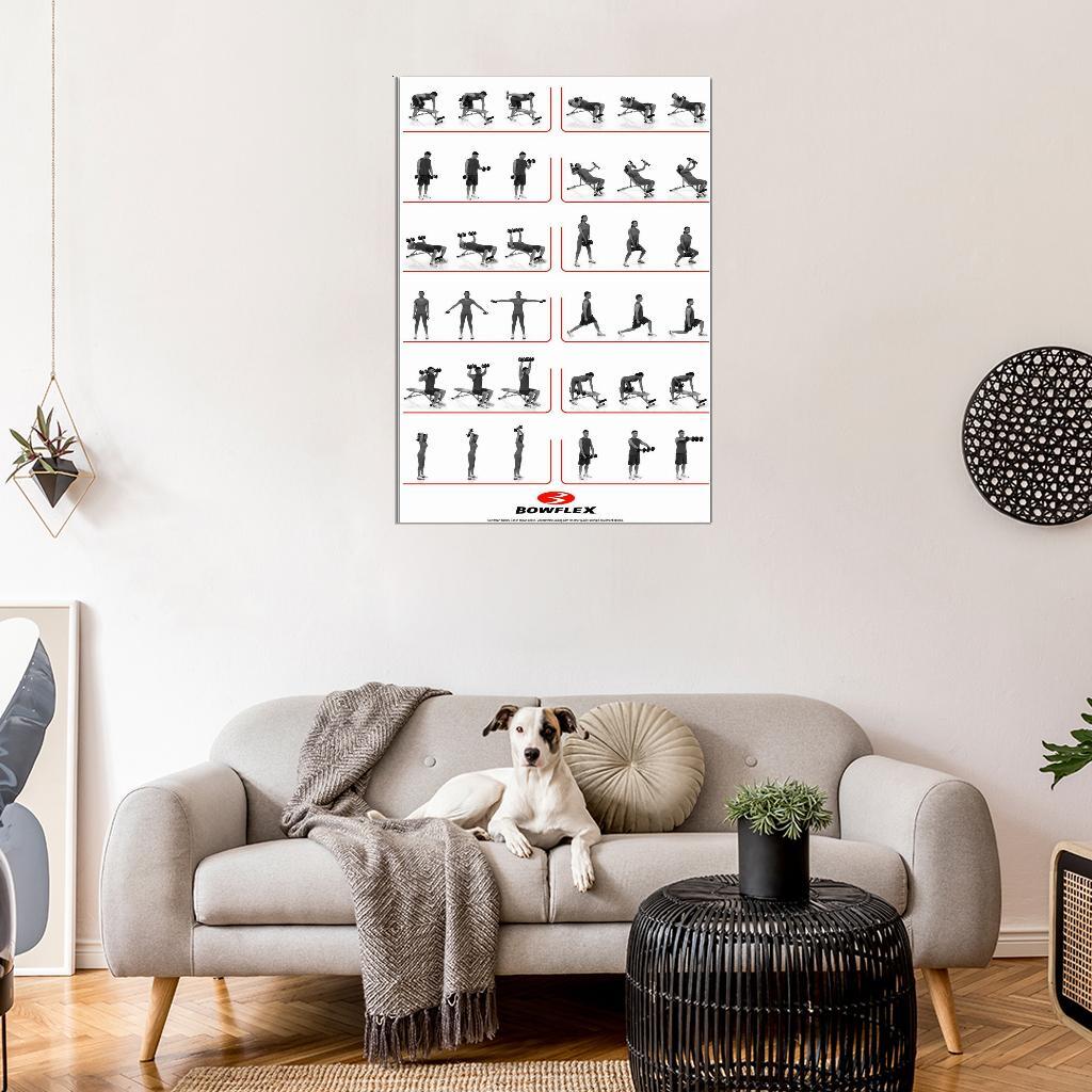 Bowflex Dumbbell Workout Poster | EOUA Blog