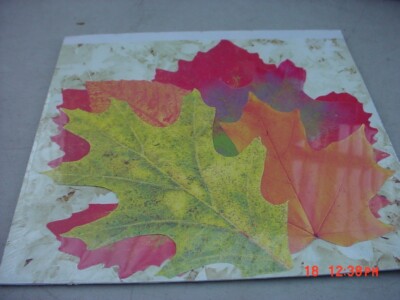 Package 40 Sisson Imports USA French Leaves Fine Parchment Paper Table ...