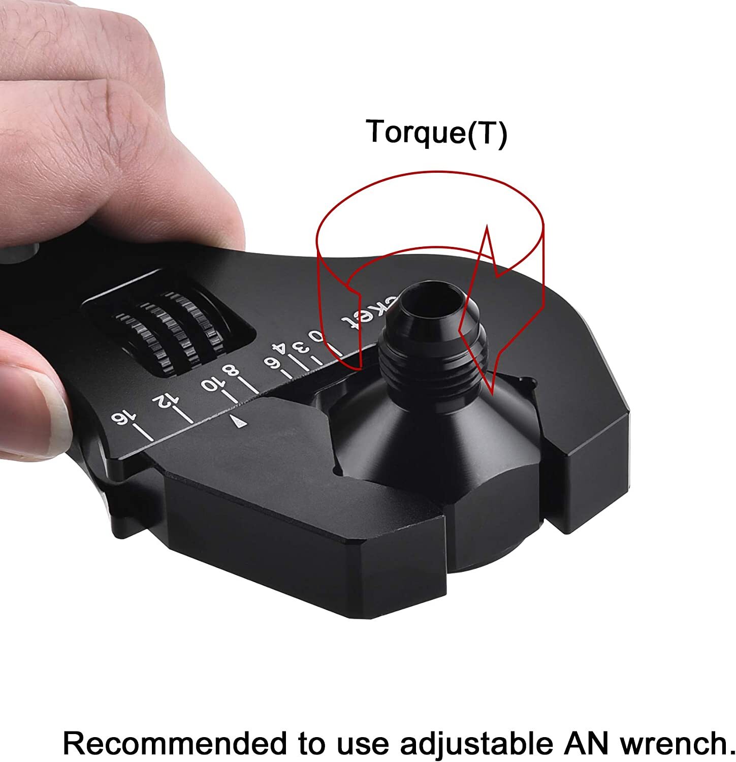 2Pcs 10AN Female to 6AN Male Flare Reducer Fitting Fuel Cell Bulkhead ...