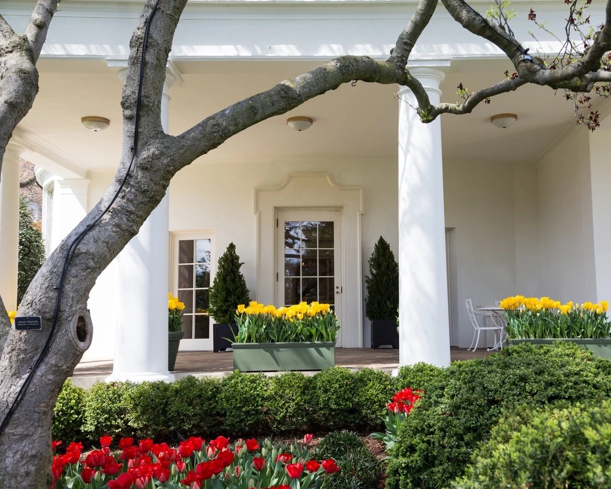 White House Oval Office From Outside