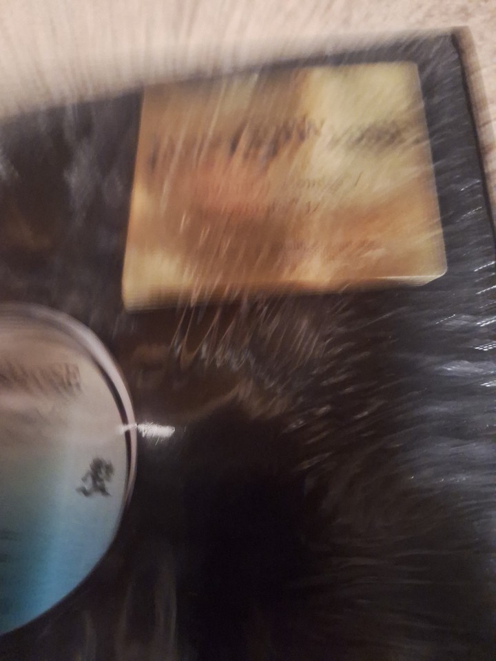 RARE! Insane Clown Posse Vinyl JUGGALO HOMIES Violent J Shaggy ICP ...