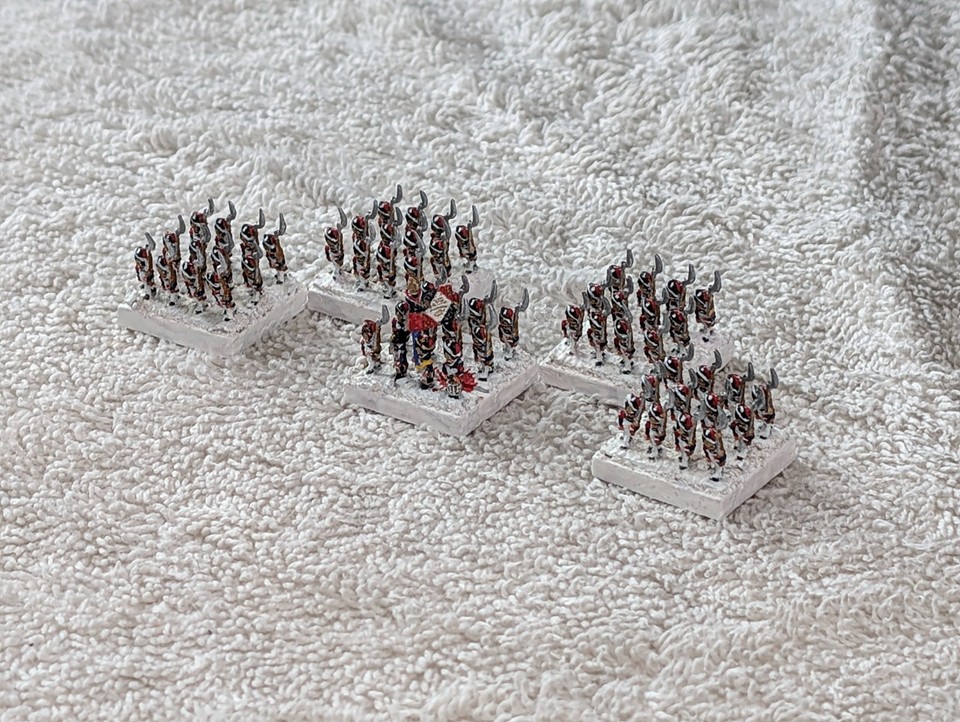 6mm Baccus Napoleonic miniatures - hand painted with excellent ...