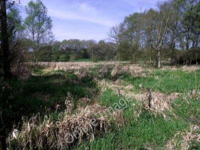 Photo 6x4 Boggy land Biddulph Looking from the public footpath just ...