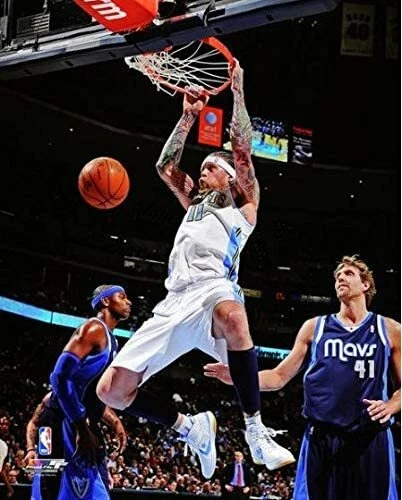 Chris Andersen Dunk