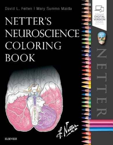 Netter's Neuroscience Coloring Book by PhD Felten, David L, MD: Used ...