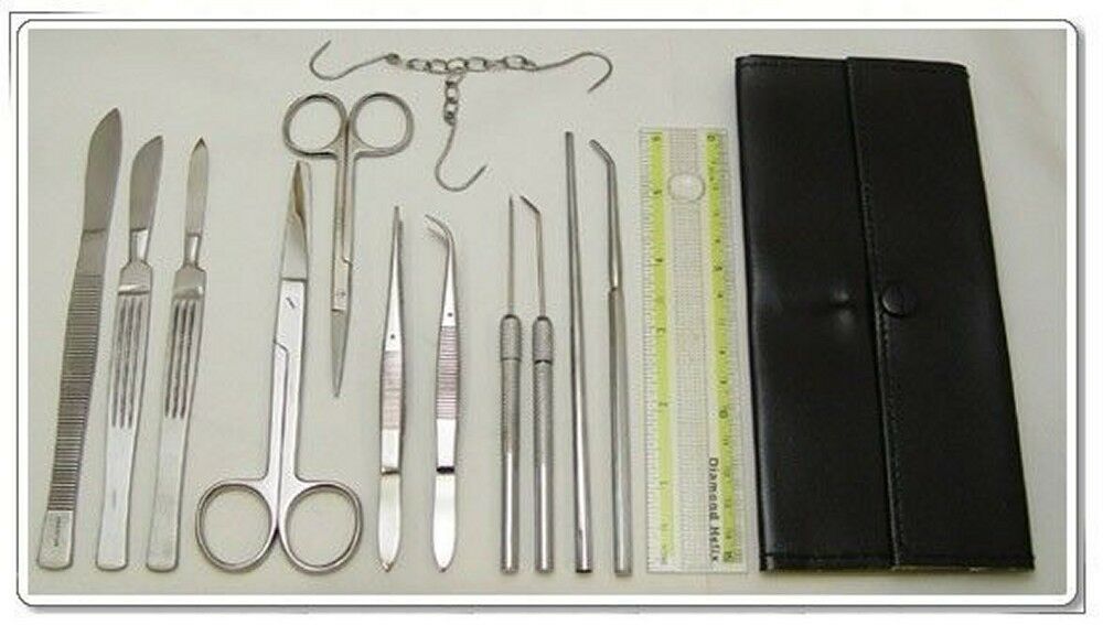 Student Dissecting Instrument Kit Stainless Steel German Grade | eBay