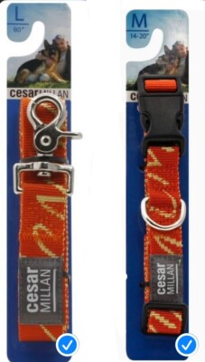 Cesar Millan 🐶 Whisperer Durable Medium Collar & 60” Leash | eBay