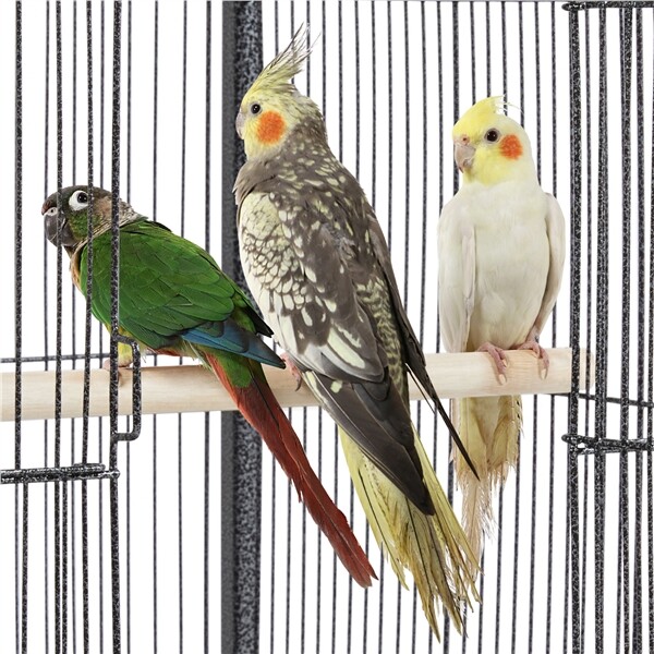 Iron Bird Cage Open-Top Parrot Cage with Rolling Stand for Small-Sized ...