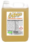 CITRUS Cleaning Power Engine Degreaser Concentrate & Parts Washer Fluid ...