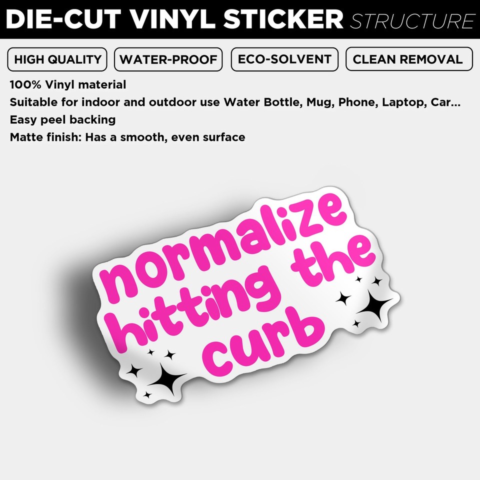 Normalize Hitting the Curb Sticker Funny Meme Quote for New Drive | eBay