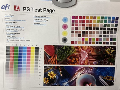 Xerox E100-03 Integrated Bustled Fiery Printer Controller for Color ...