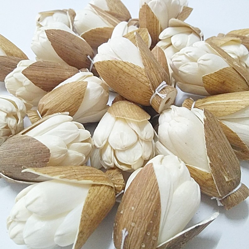 Artificial Ginger Dried Flower Reed Diffuser Decor DIY Fragrance Lot ...