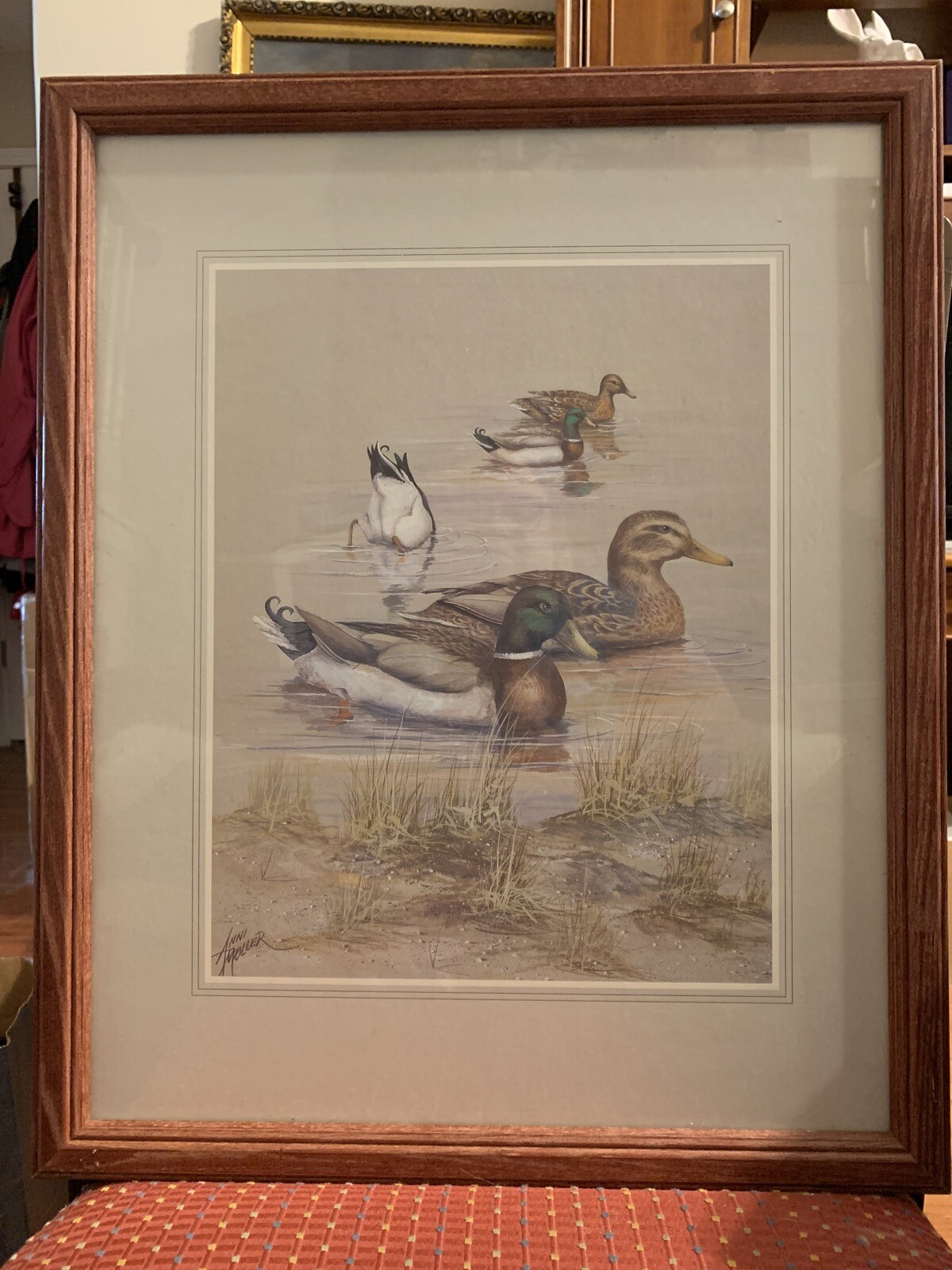 Wild Ducks - Anni Moller Framed Art Print Picture | eBay