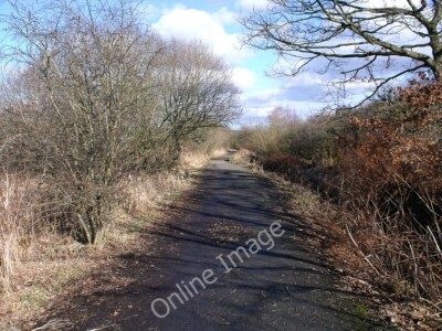 Photo 12x8 Woodland track, Dumbreck Marsh Kilsyth This track follows ...