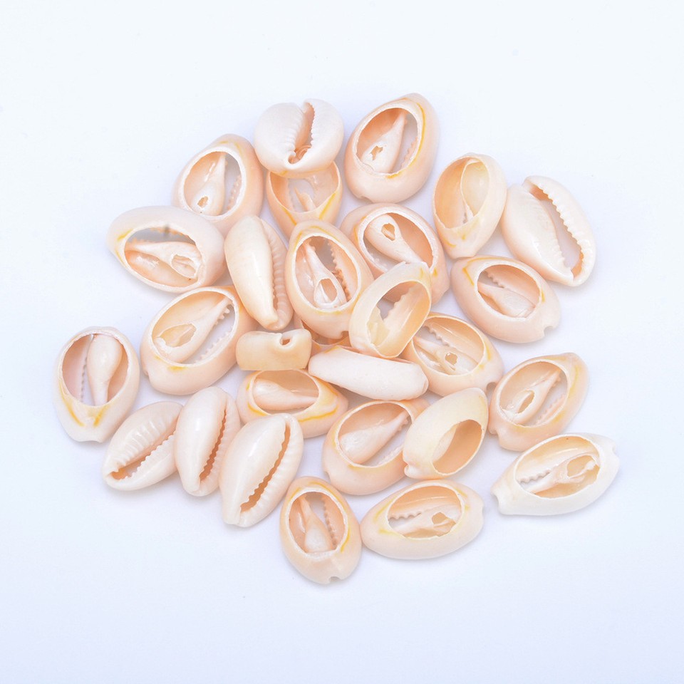 50 x Natural Cowrie Drilled Craft Shells Seashells Cowrie Craft Beads ...