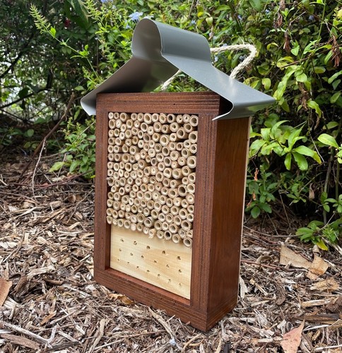 Stained Solitary Native Bee Motel Hotel Australian Ladybird and Insect ...