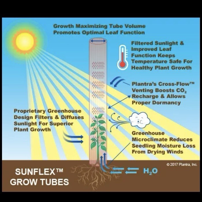 58” Plantra SunFlex Greenhouse Grow Tube for Deciduous Trees Deer ...
