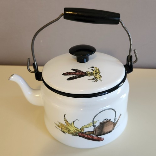 Vintage Delano Studios Enamelware Tea Pot Eric Sloane Americana Series NEW! | eBay