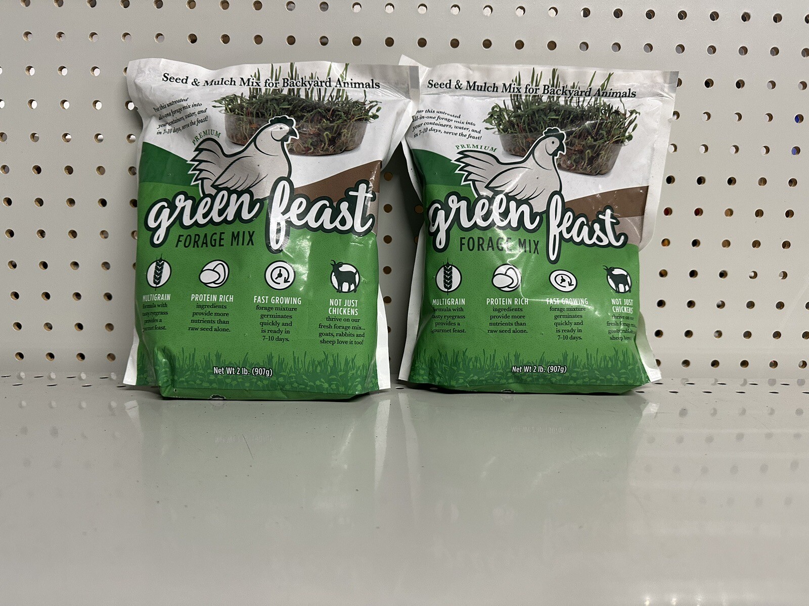 Lot of 2 Green Feast Forage Mix, Brown,2 Lb Bag | eBay