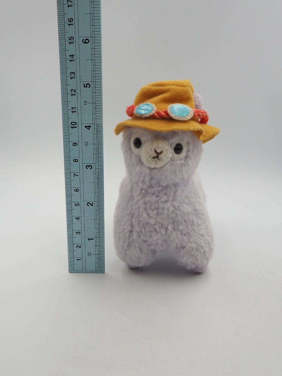 Alpacasso Pirate