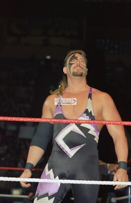 DEMOLITION CRUSH VINTAGE 8x10 COLOR PHOTO ROH ECW WWE NXT AEW IMPACT | eBay