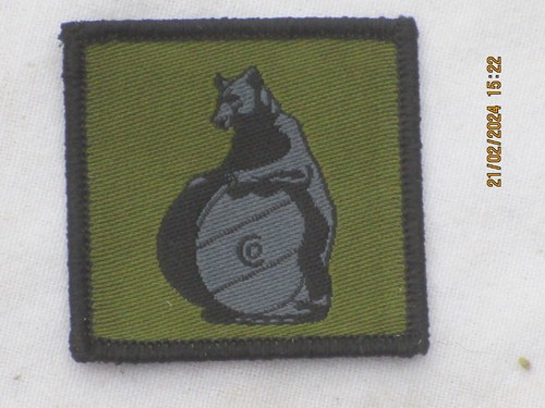 10th Signal Regiment,Royal Signals , TRF, subdued, Patch, British Army ...