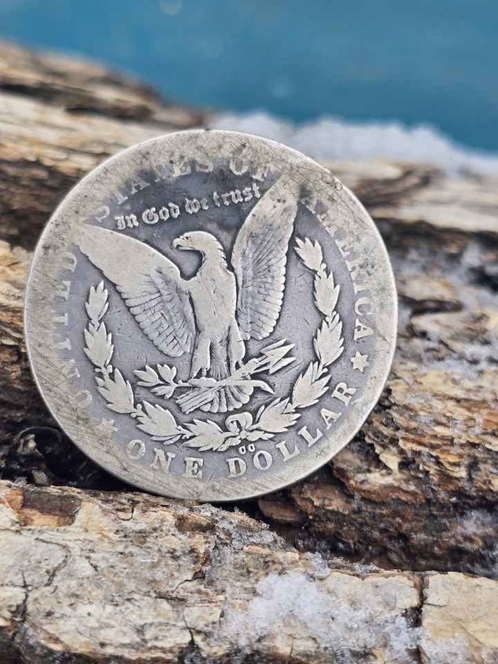 1880 CC MORGAN SILVER DOLLAR KEY DATE CARSON CITY | eBay