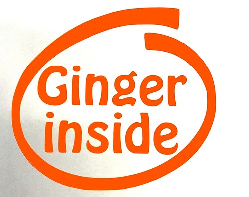 'GINGER INSIDE' Orange Funny/Joke Car/Van/Bike/Bumper/Window Vinyl ...