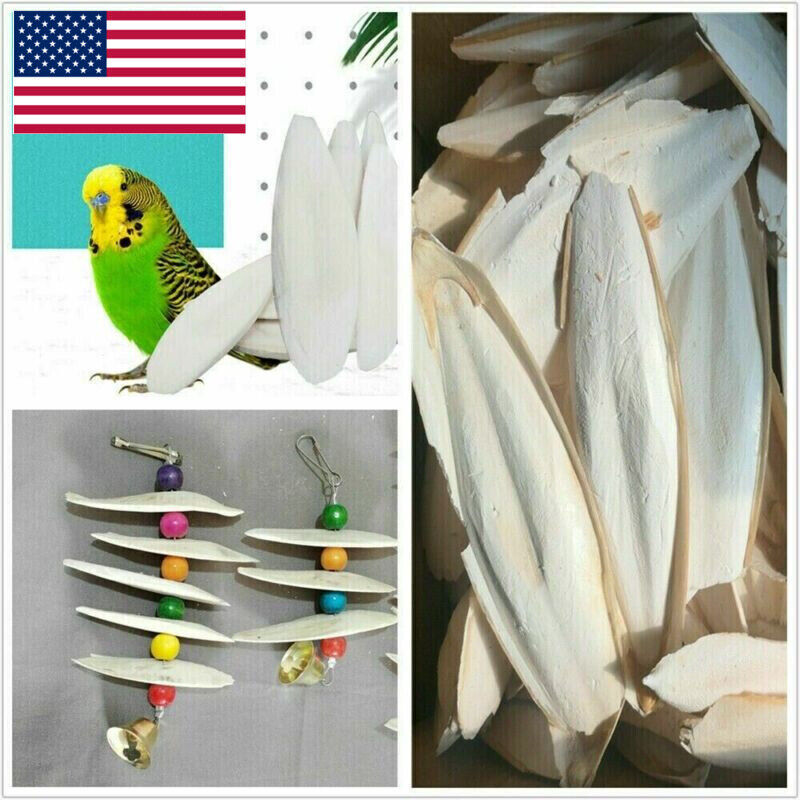 Cuttlefish Bone For Birds