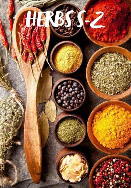 Ayahuasca Powder Tea Recipe | Bryont Blog