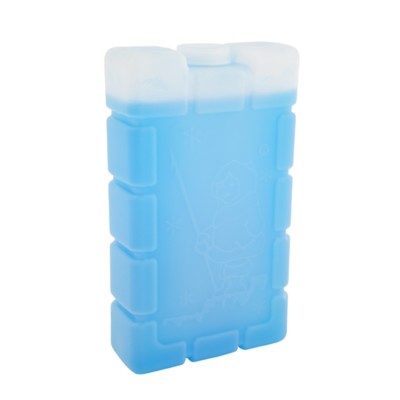Esky Medium Ice Cooler Brick | eBay Australia