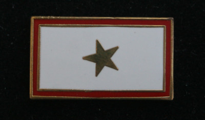 GOLD STAR PIN SON DAUGHTER SERVICE KIA SERVING IN US ARMY MARINE NAVY ...