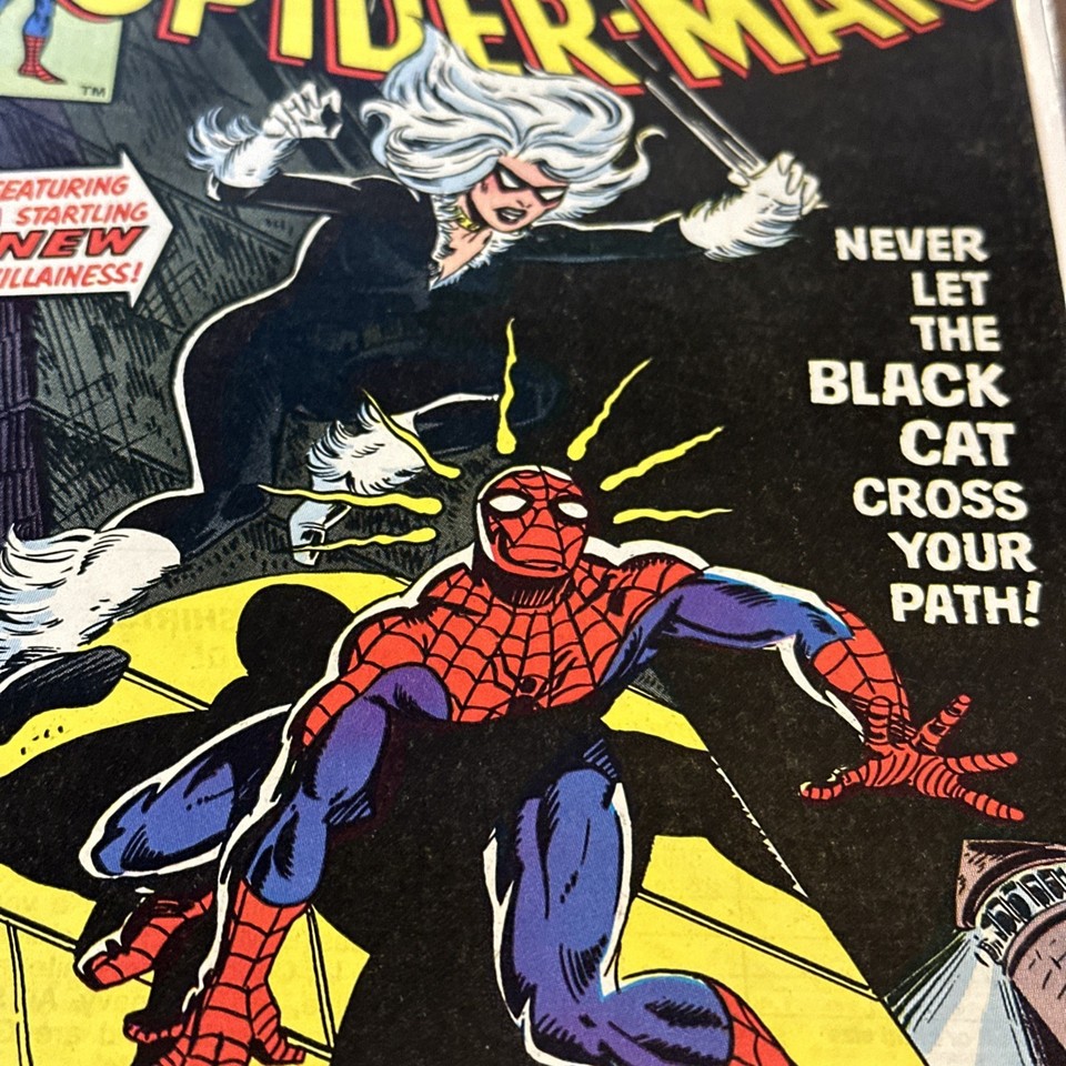 Amazing Spider-Man #194 1979 Marvel Comics 1st appearance of Black Cat ...