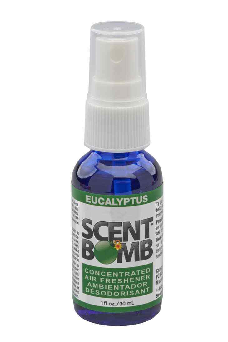 USA Scent Bomb Spray Car Home Air Freshener Freshner Fragrance Assorted ...